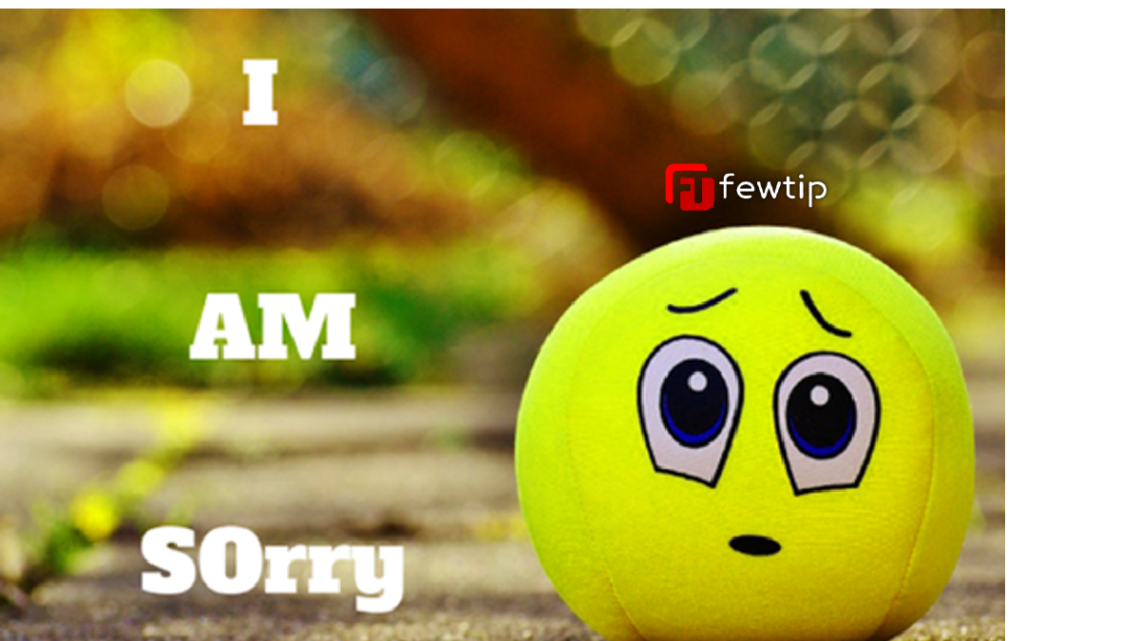 35+ Heartfelt I Am Sorry Paragraphs for Him to Say Sorry